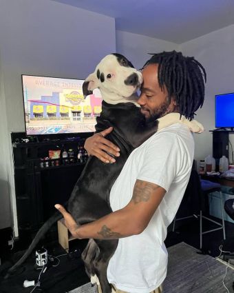 Pitbull Mastiff Mix Breed Overview: All You Need To Know About Pit Mastiff