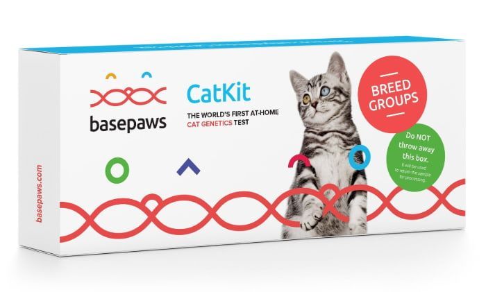 Cat DNA Test Reviews - Best Cat Genetic Testing Kits