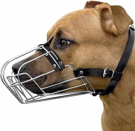 ᐉ Best Dog Muzzle: TOP 10 Rated Muzzles for Dogs Reviews