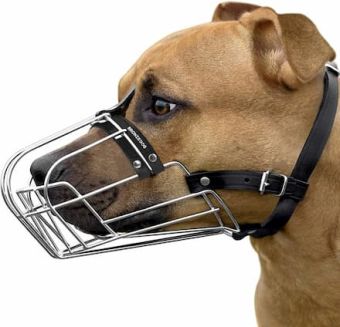 ᐉ Best Dog Muzzle: TOP 10 Rated Muzzles for Dogs Reviews