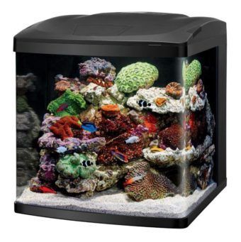 Best Fish Tank: The 15 Best Rated Aquarium Kits for Home Reviews