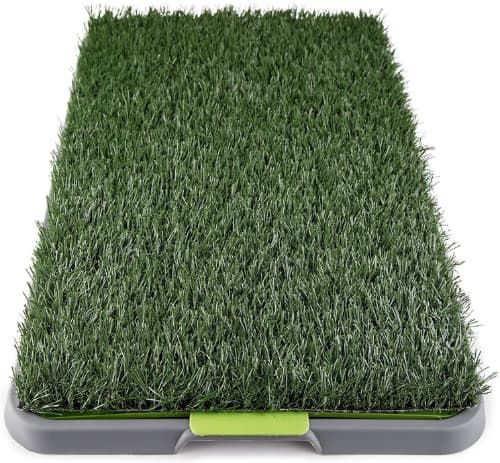 Best Artificial Grass for Dog Potty: 10 Best Indoor Dog Potties Reviews