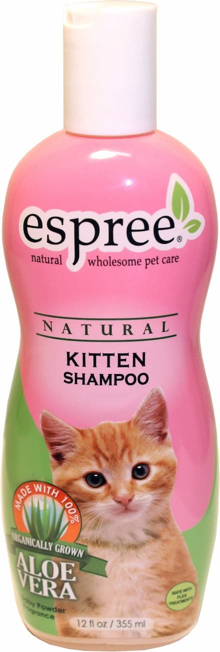 => The Best Cat Shampoo: TOP Shampoos for Cats and Kittens Reviews