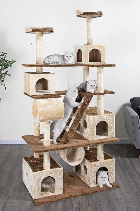 ᐉ Best Cat Trees: TOP 10 Rated Trees for Cats (Reviews)