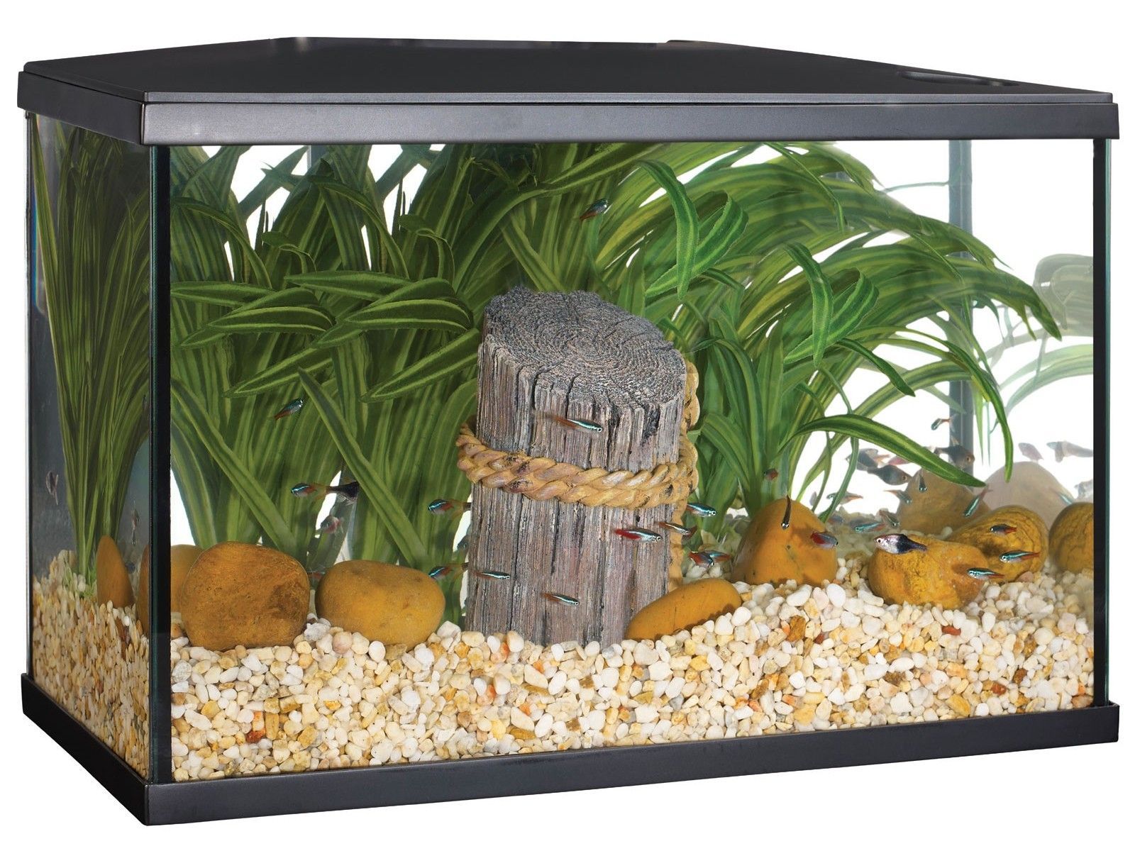Best Fish Tank 2020 Reviews - TOP Aquarium Tank for Home to Buy