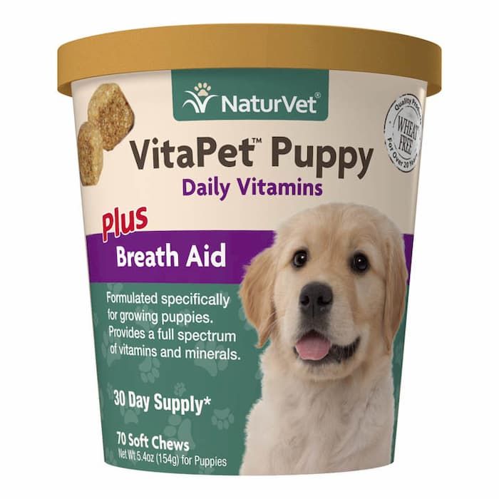 ᐉ Best Dog Vitamins: TOP Best Supplements for Dogs (Vet Review)