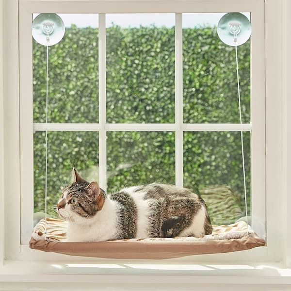 ᐉ Cat Window Perches: 10 Best Cat Window Hammock Reviews