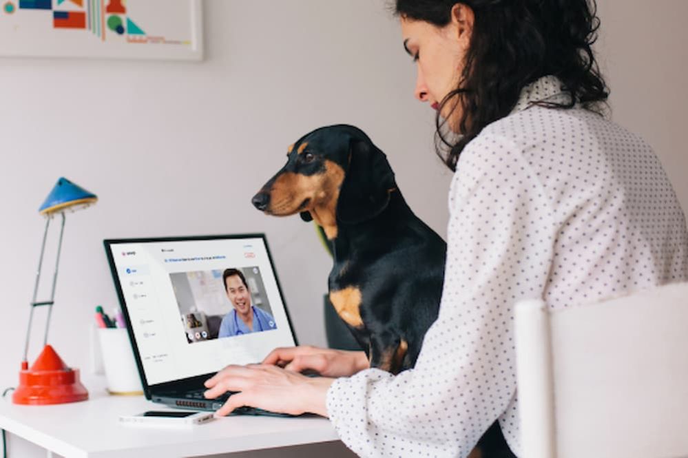 PAWP Pet Insurance Review: Is PAWP Pet Insurance Good?