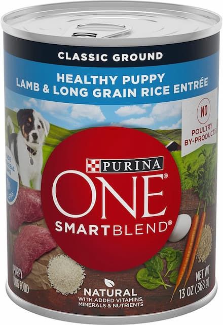 ≡ Pedigree vs Purina Comparison: Which Dog Food is Better?