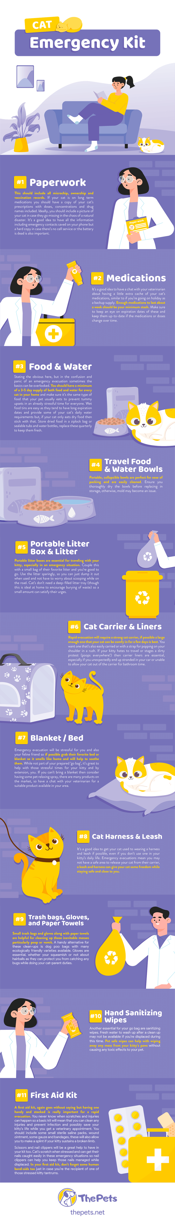 Cat Emergency Kit: How to Pack a Survival Kit for Cats (Vet Advice)