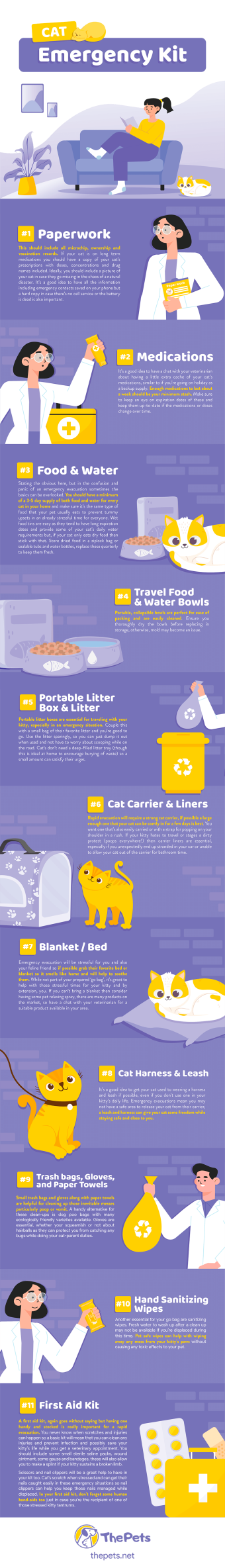 Cat Emergency Kit: How to Pack a Survival Kit for Cats (Vet Advice)