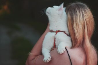 How To Bond With Your Cat: 8 Practical Ways to Build a Bond With a Cat
