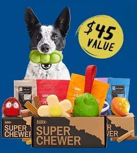 Super Chewer Box Review: Durable Chew Toys Subscription Review