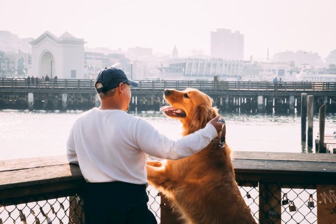 Teaching your Dog to Ask to Go Out: Train Dog to Ring Bell to Go Out