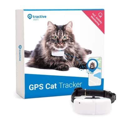 ᐉ Best Cat GPS Tracker: TOP Rated Cat GPS Collar Devices Review