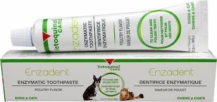 The Best Dog Toothpaste: TOP Rated Toothpastes for Dogs Reviews