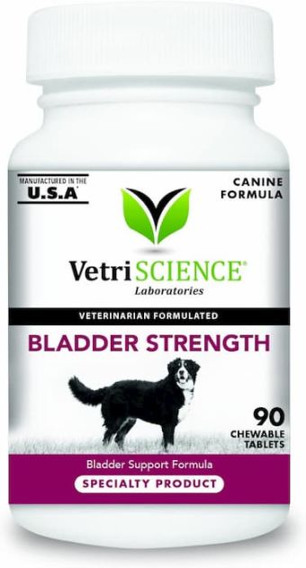 ᐉ Best Dog Vitamins: TOP Best Supplements for Dogs (Vet Review)