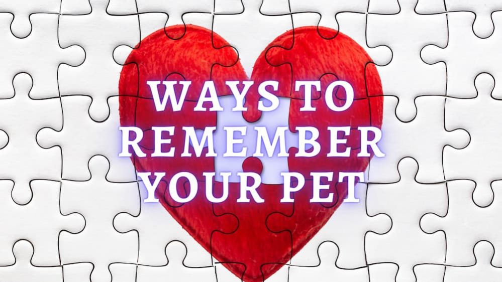 ᐉ Ways to Remember a Pet: How to Immortalize Your Pet?