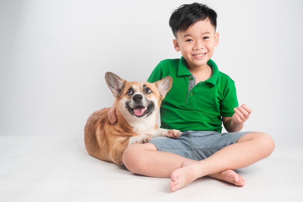 My Dog Has a Sore Bum What Can I Put On It: Dog's Sore Butt Signs