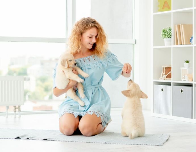 Puppy Training - ThePets